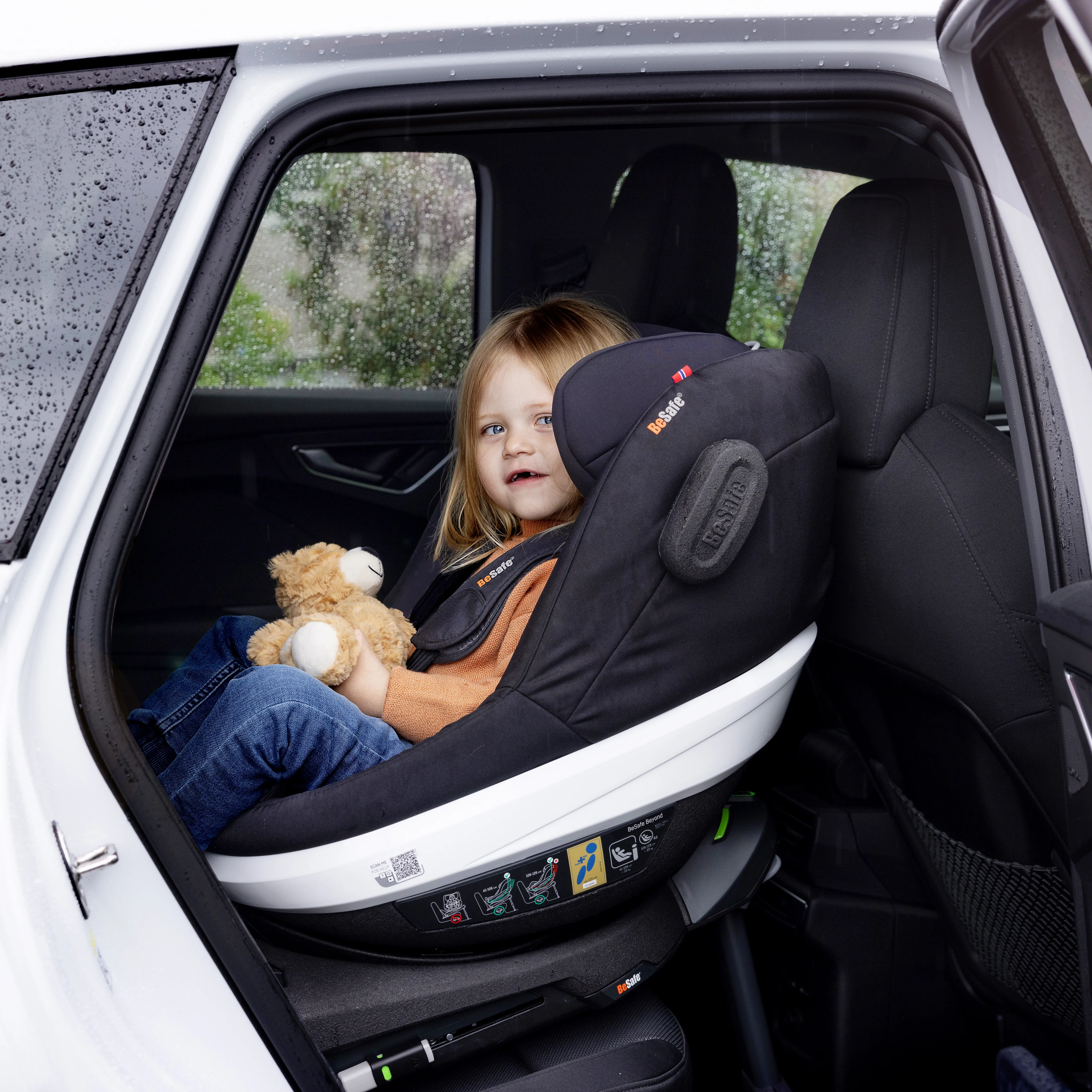 carasafe stability support